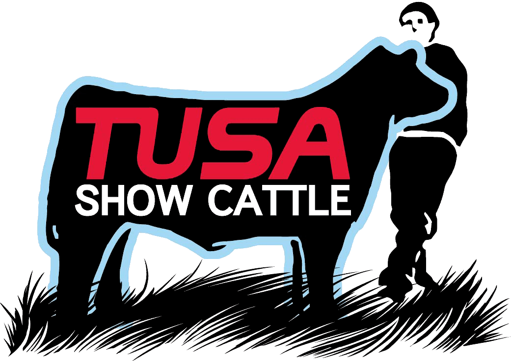 Tusa Show Cattle - Livestockshowspecs