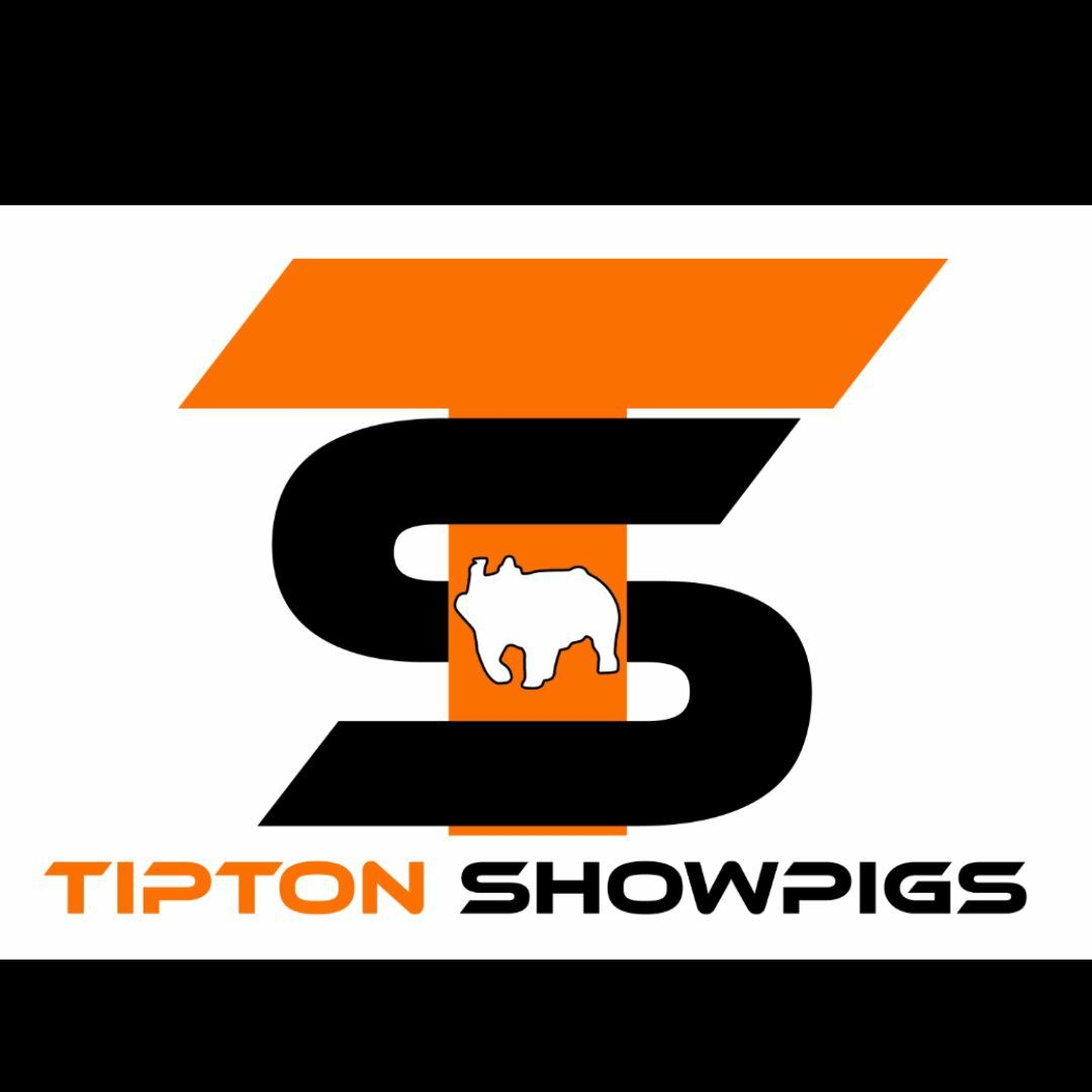 Tipton Showpigs - Livestockshowspecs